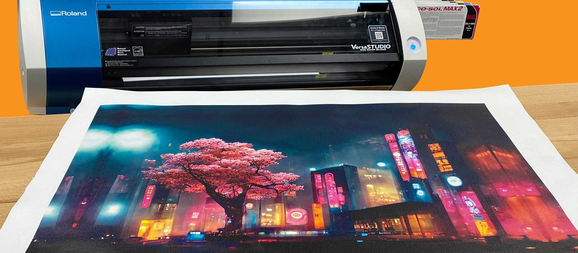 Printing on Canvas with the Roland BN-20A - Business Ideas